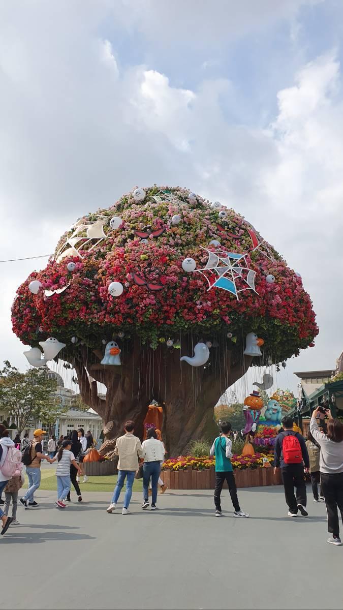 Everland Discount Ticket & Q-Pass (Express Pass) Package (+ Shuttle Bus ...