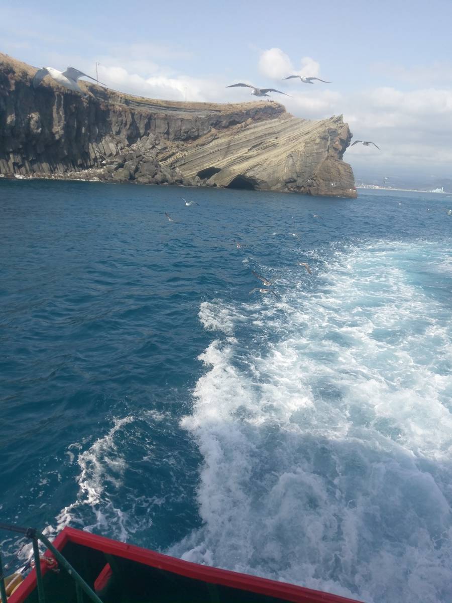 Jeju Bus Tour - Jeju Island Tour Package 1 Day - Trazy, Korea's #1 ...