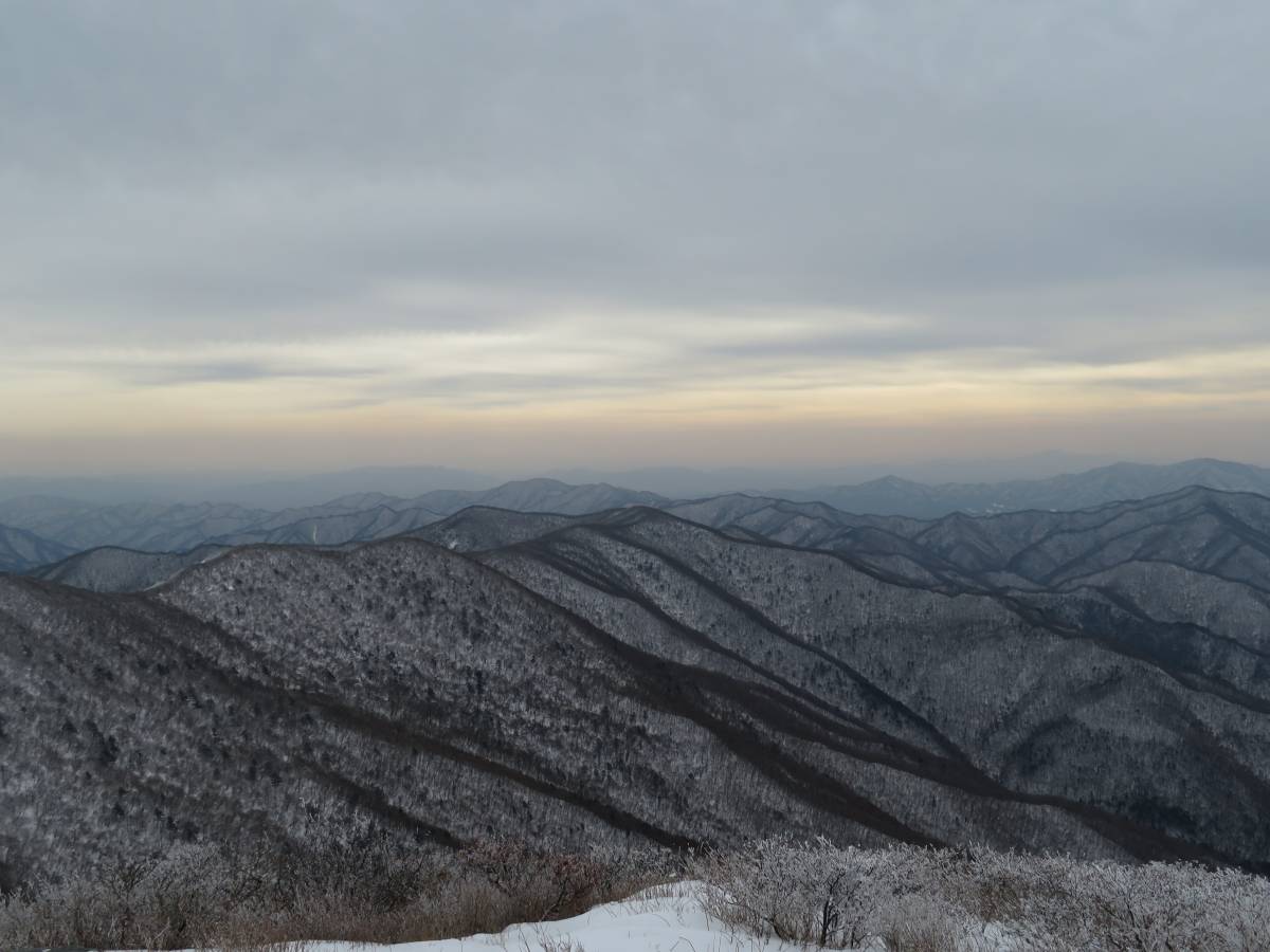2020 Taebaeksan Snow Festival Shuttle Bus Package - from Seoul - Trazy ...