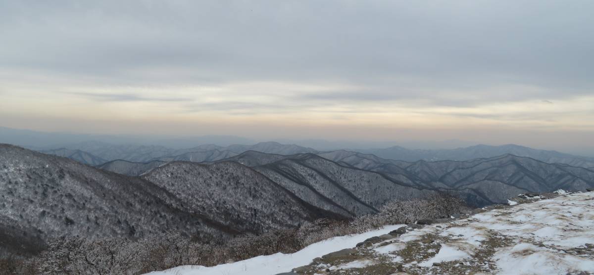2020 Taebaeksan Snow Festival Shuttle Bus Package - from Seoul - Trazy ...