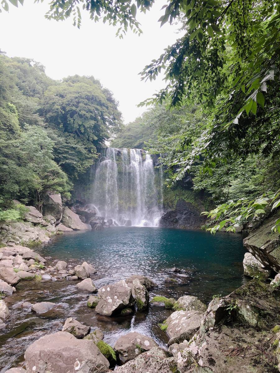 Jeju Bus Tour - Jeju Island Tour Package 1 Day - Trazy, Korea's #1 ...